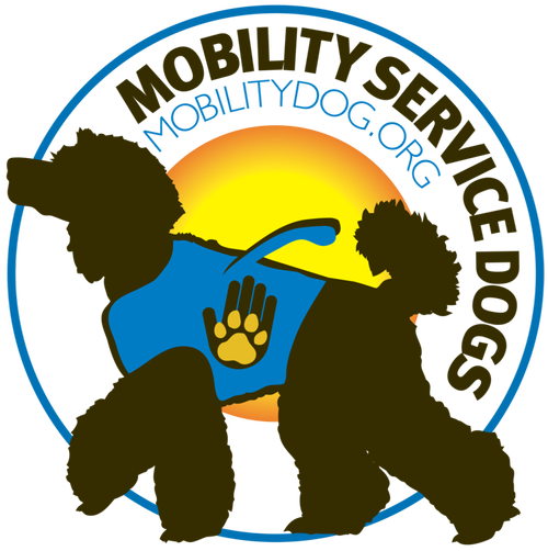 What Is a Mobility Assistance Dog? Everything You Need to Know ...