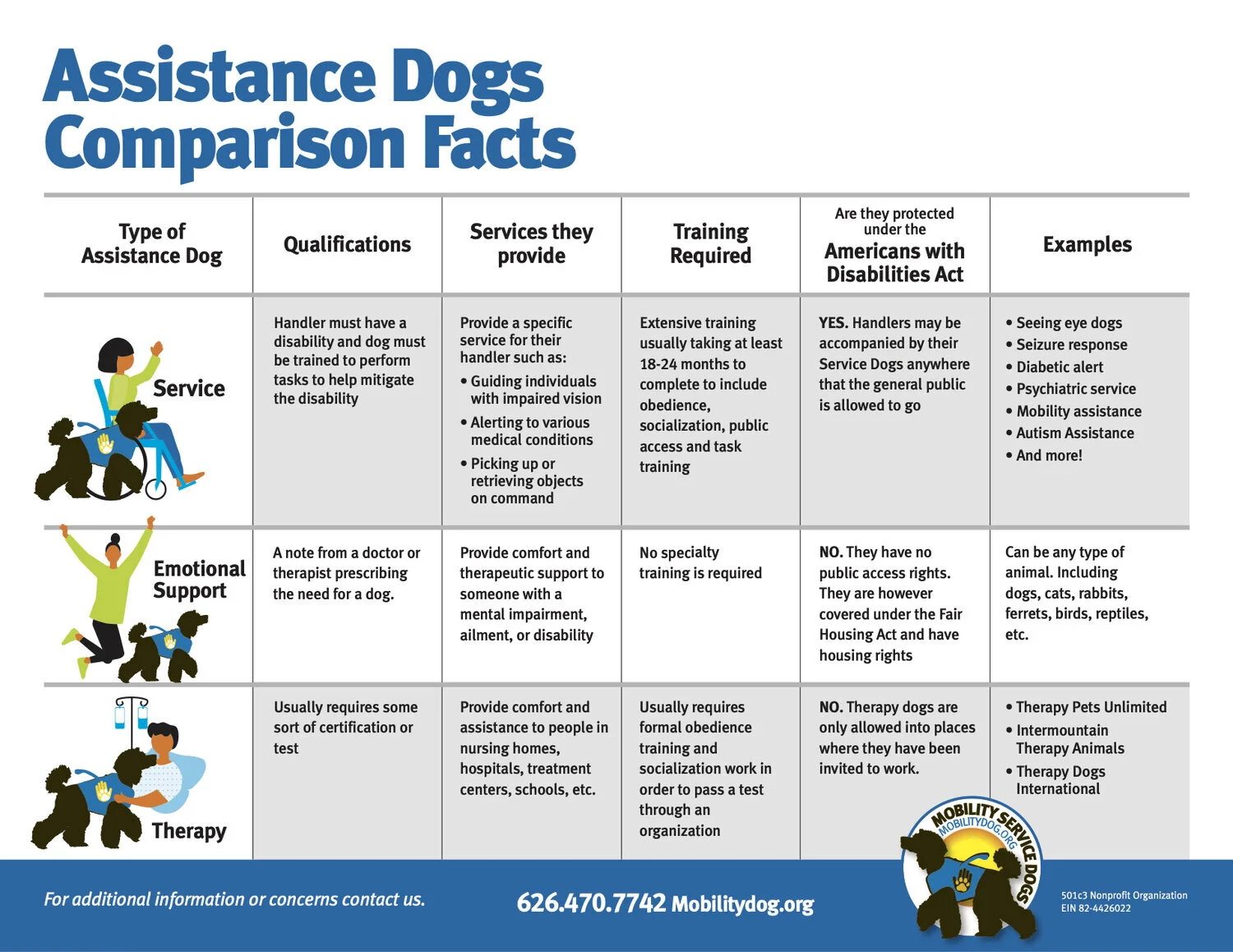 Service Dog Laws Domestically And Internationally Mobility Service