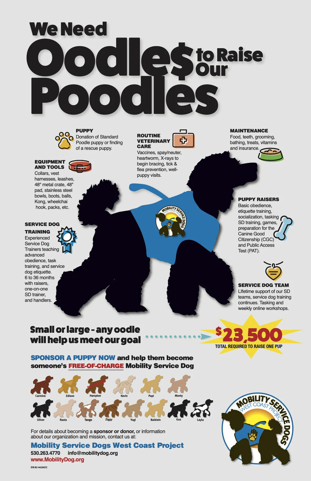 Welcome to National Service Dog Awareness Month — Mobility Service Dog ...