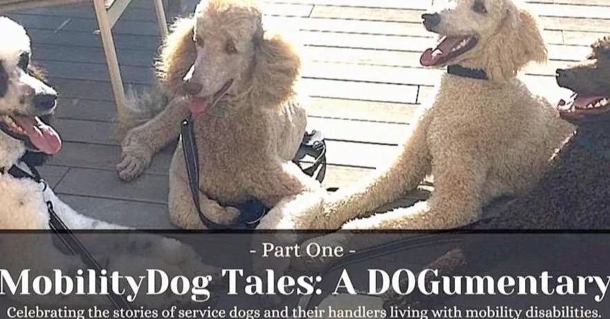 Mobility Service Dog - West Coast Project