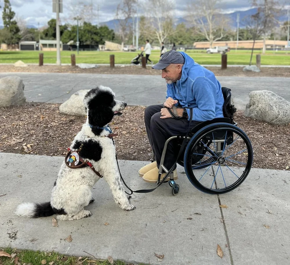 What Happens if a Service Dog is Refused Entry? — Mobility Service Dog ...