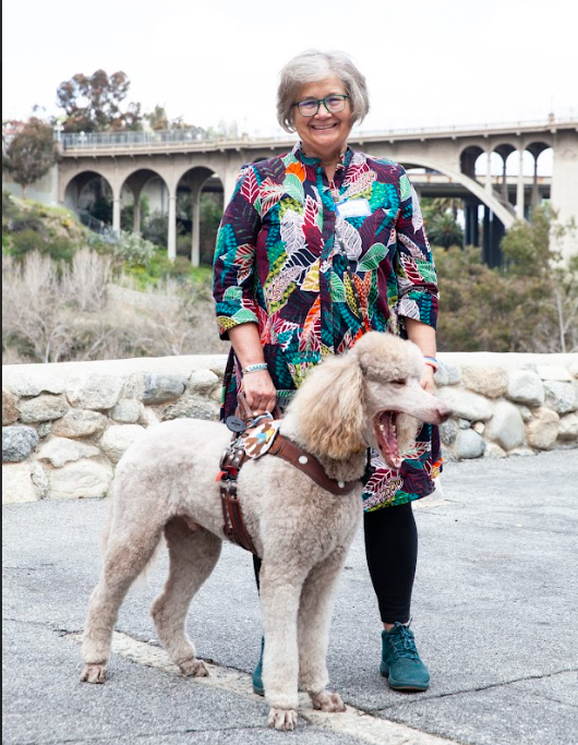 How To Become A Service Dog Puppy Trainer/Raiser! — Mobility Service ...