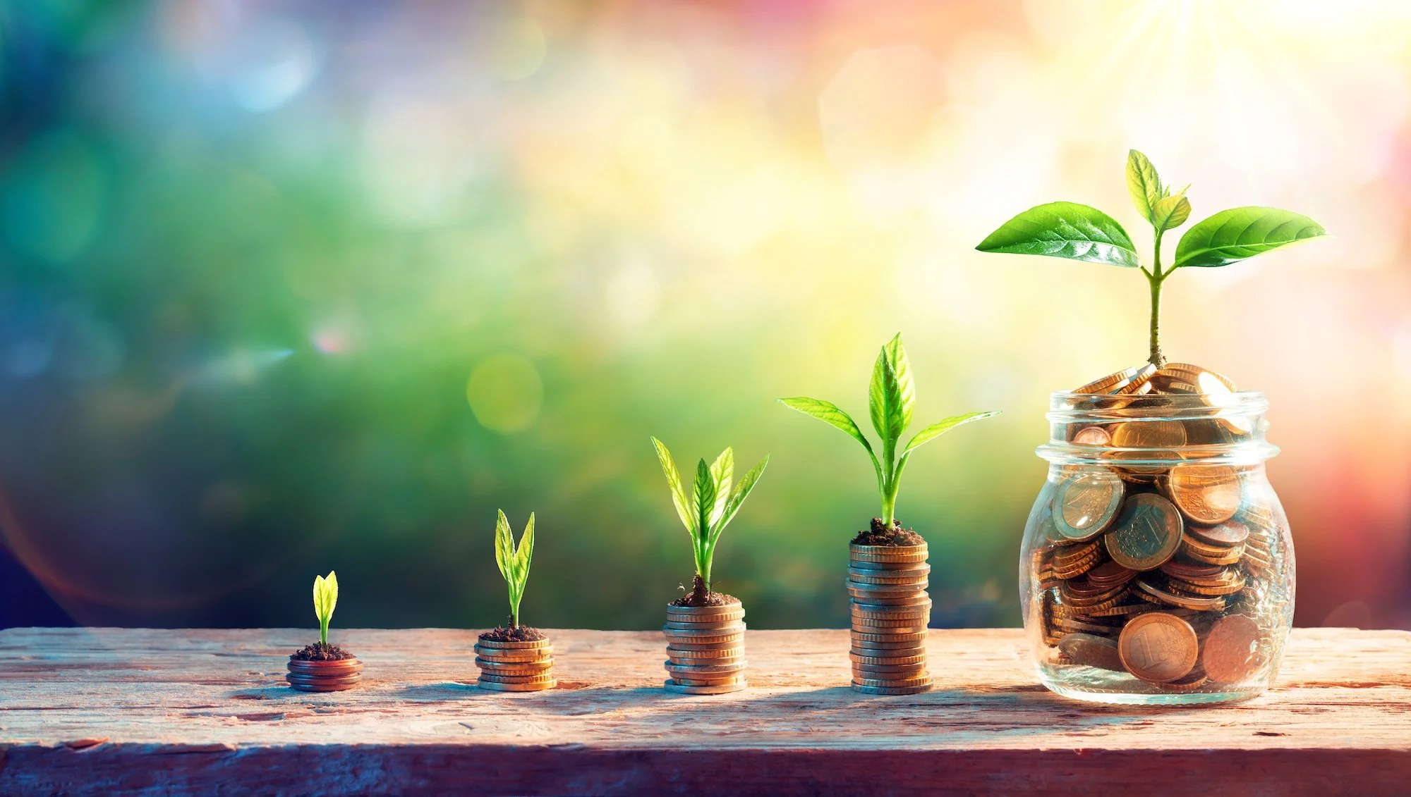 Savings Options Freestone Credit Union savings-options-freestone-credit-union