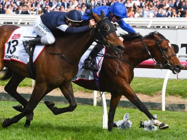 What's On at The Oak — Royal Oak Hotel Double Bay