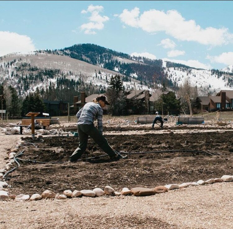 Thursday Volunteer Power Hour — Summit Community Garden & EATS