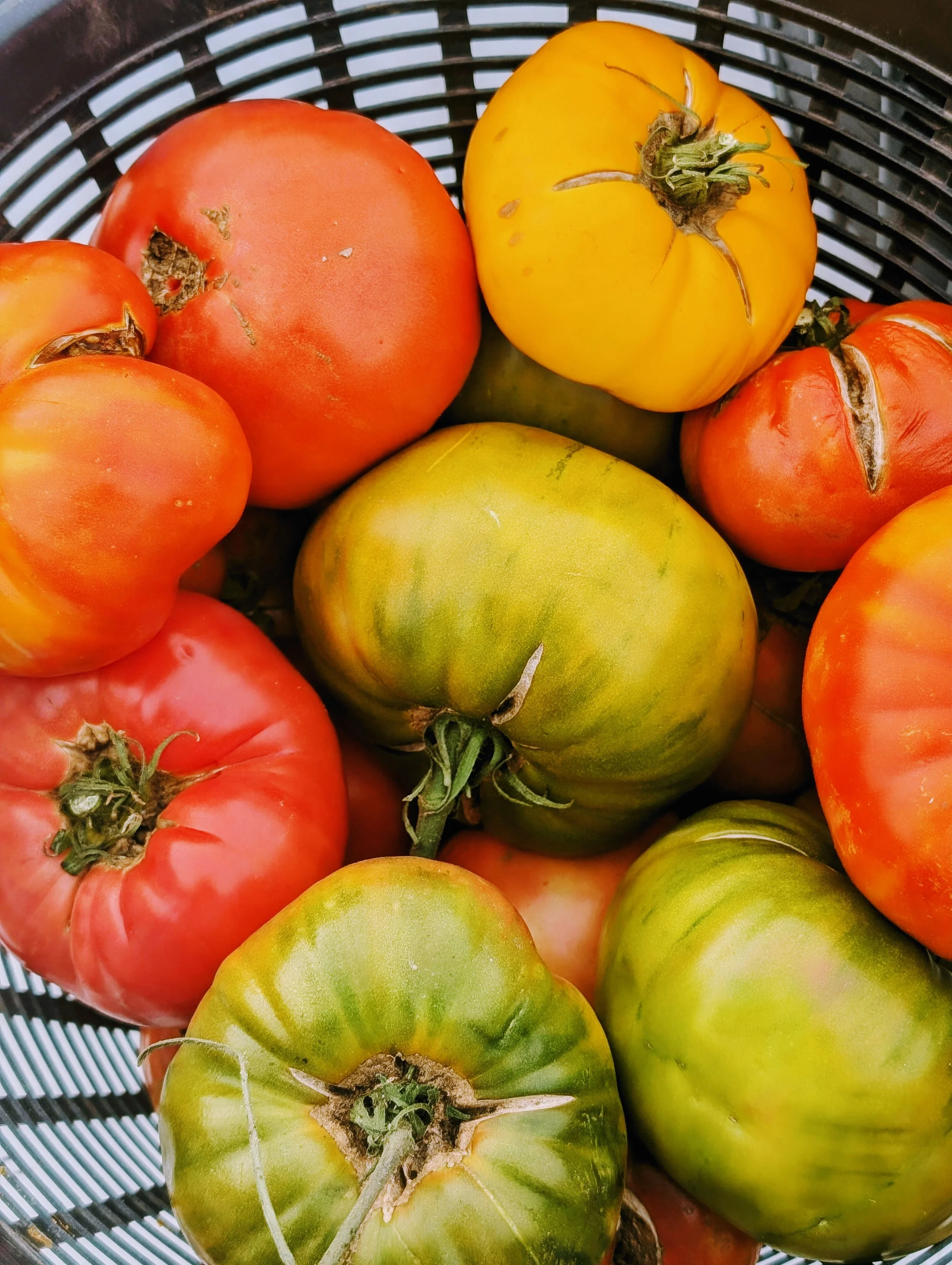 Garden Plots — Summit Community Garden & EATS