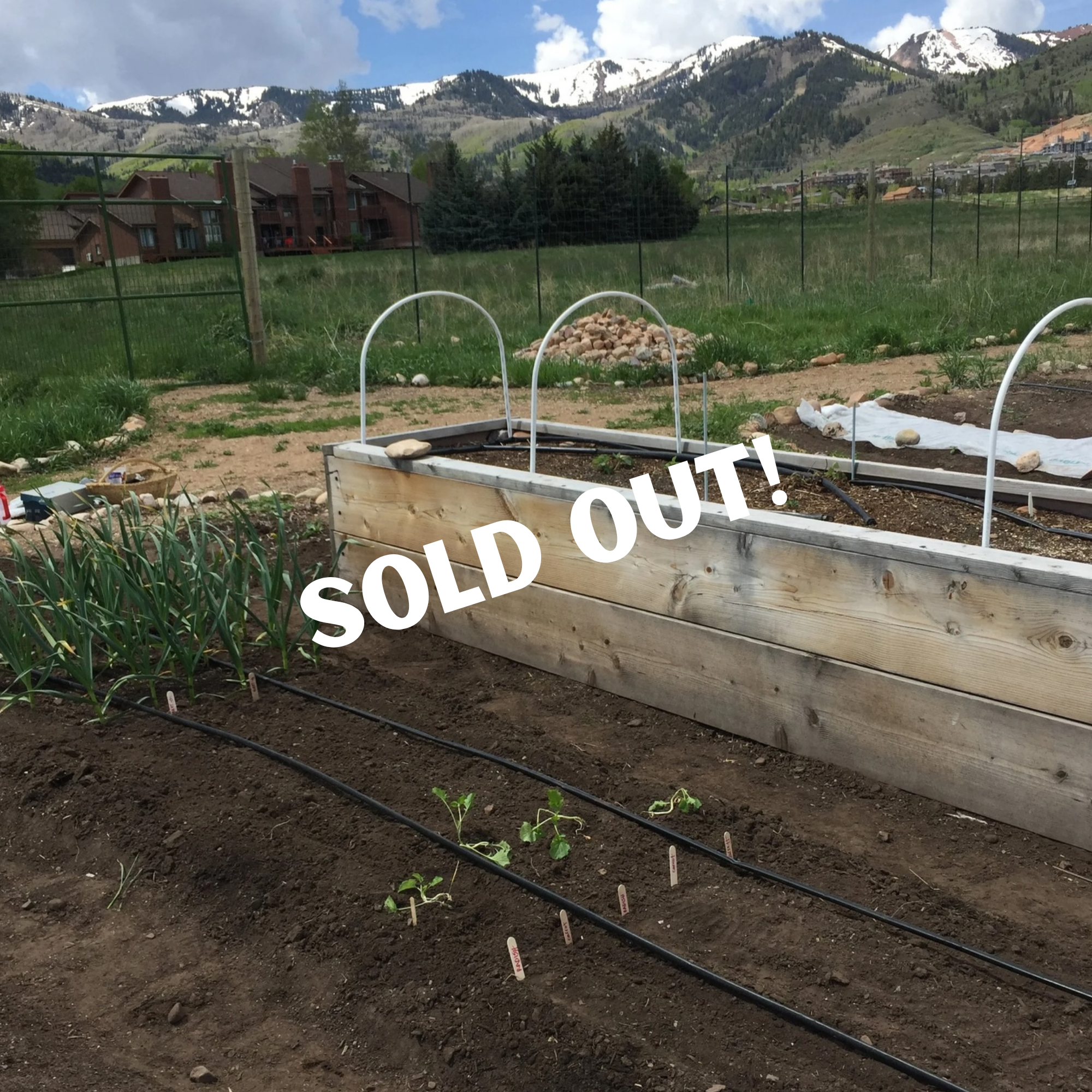 Garden Plots (2026) — Summit Community Garden & EATS
