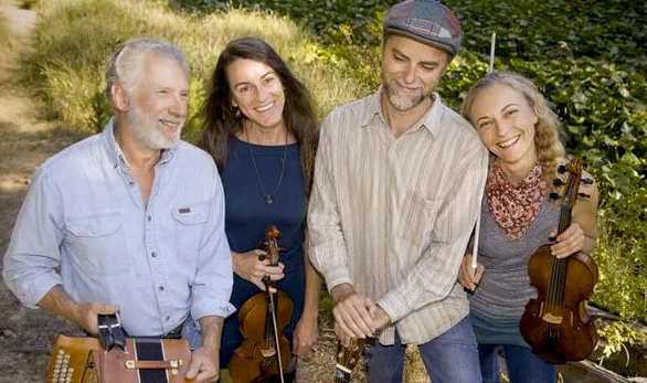 Suzuki Cady | Irish Music