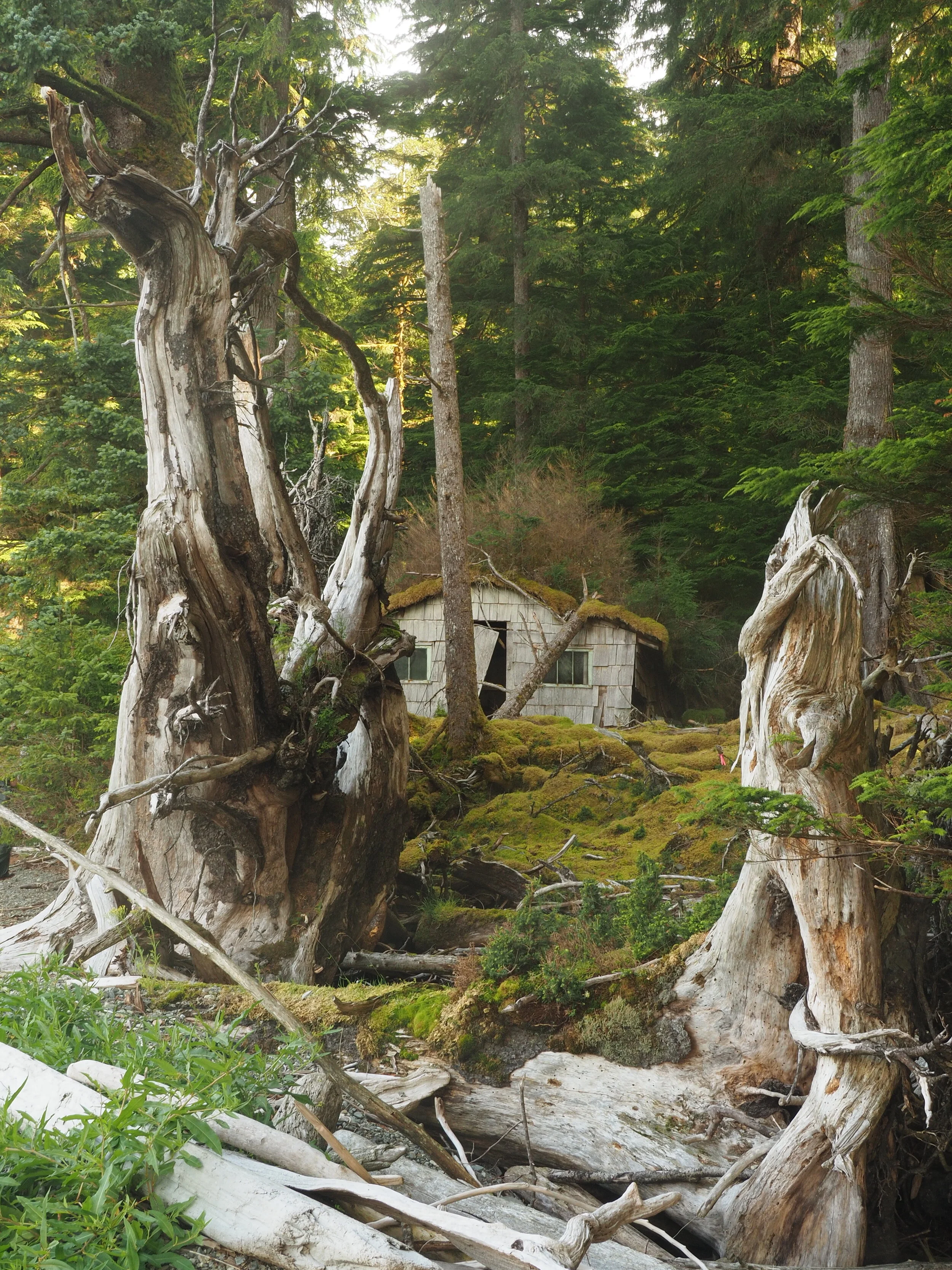 Kelp Worlds — Future Ecologies Podcast