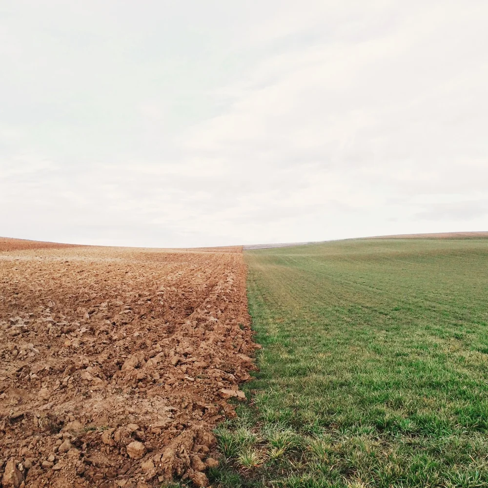 FE4.8 - Ground Truthing — Future Ecologies Podcast