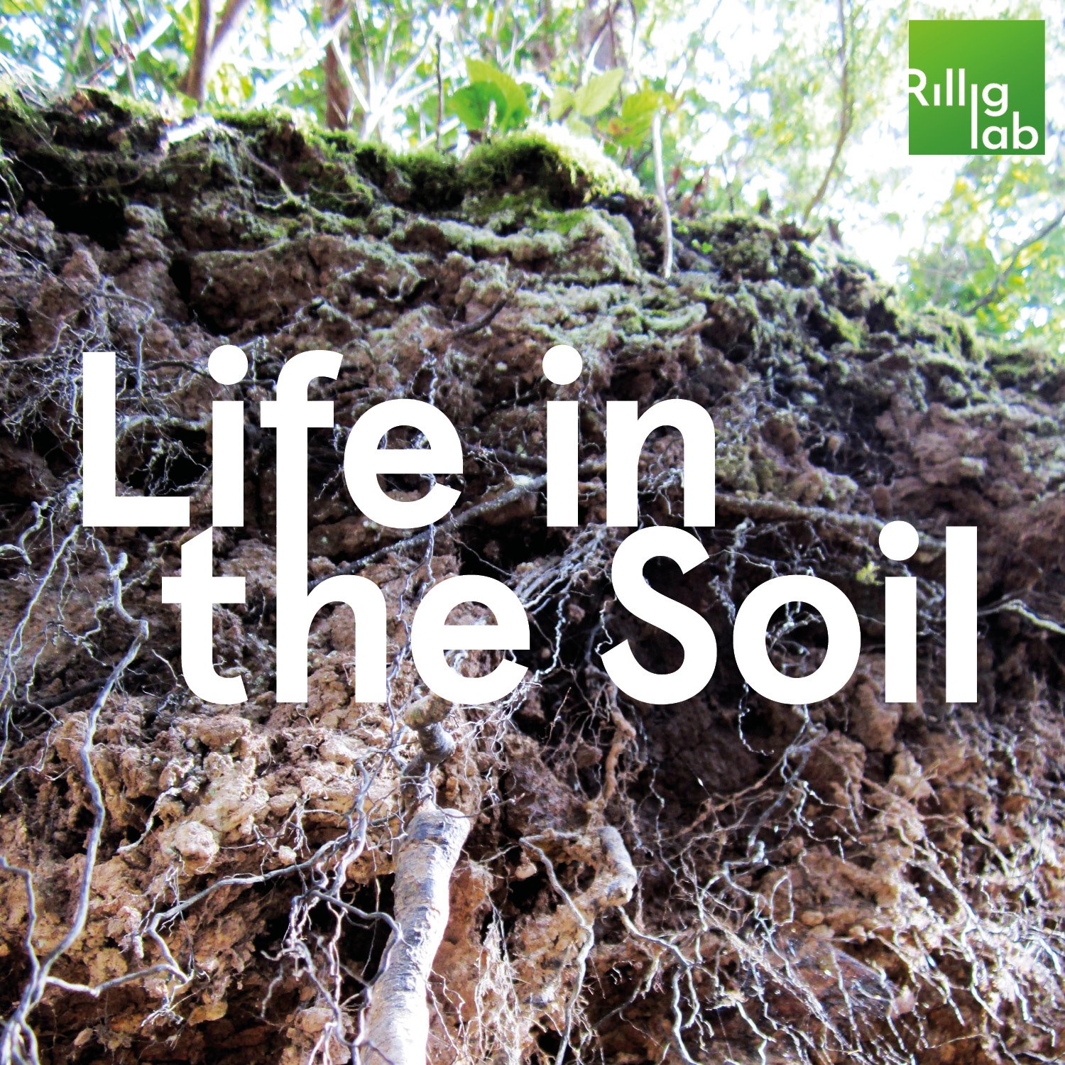All Episodes — Future Ecologies Podcast