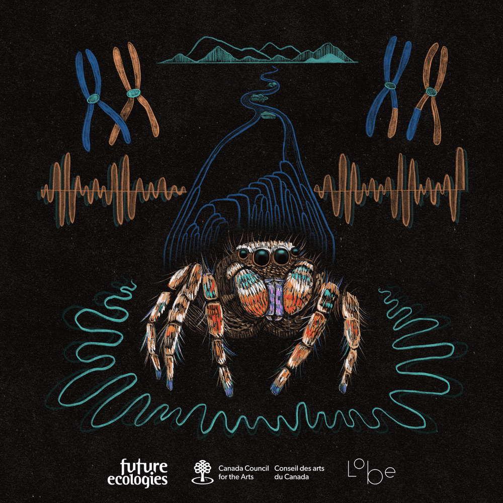 FE5.1 + 5.2 - Spiders Song — Future Ecologies Podcast