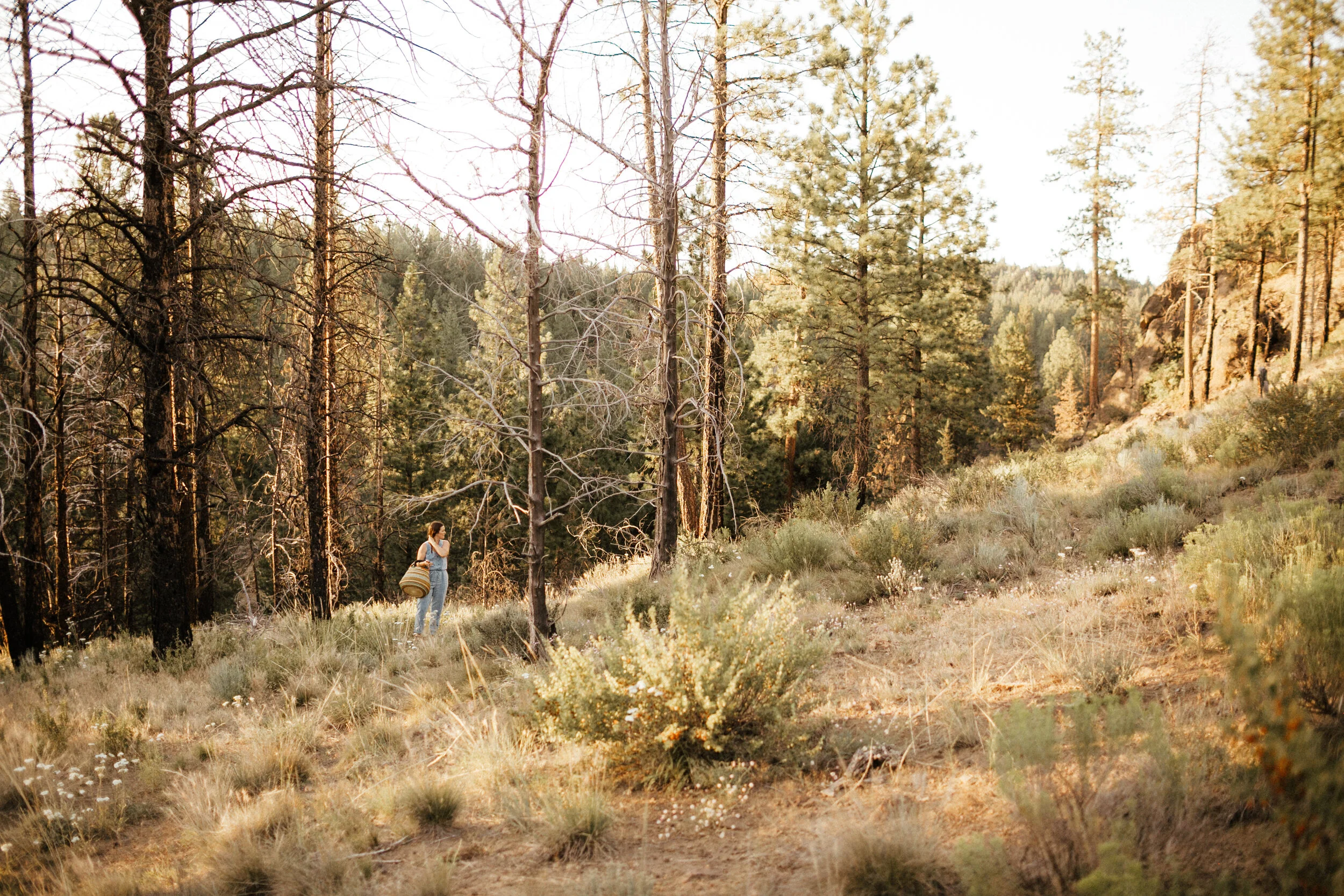 Con Lo Common - Light My Fire Wildcrafted Fire Fuel