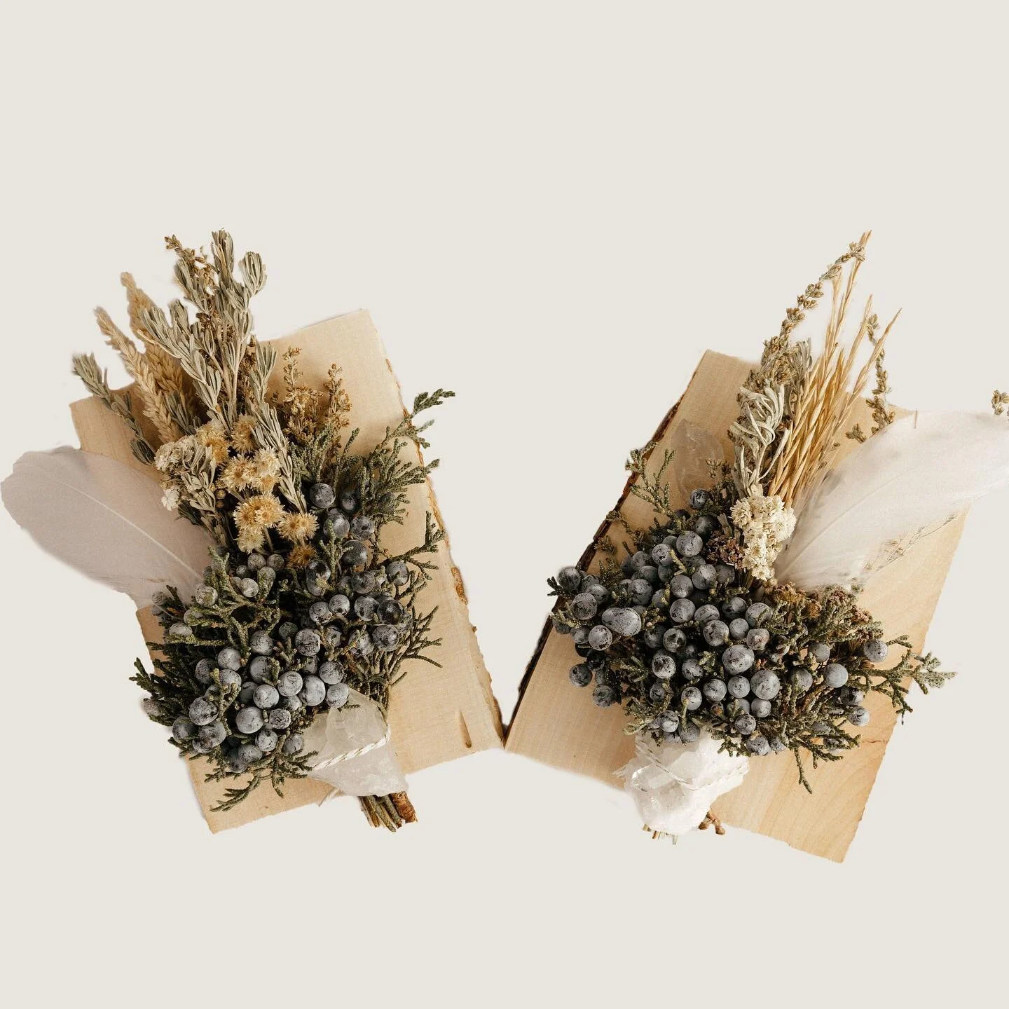 Experiences — Con Lo Common - Light My Fire Wildcrafted Fire Fuel
