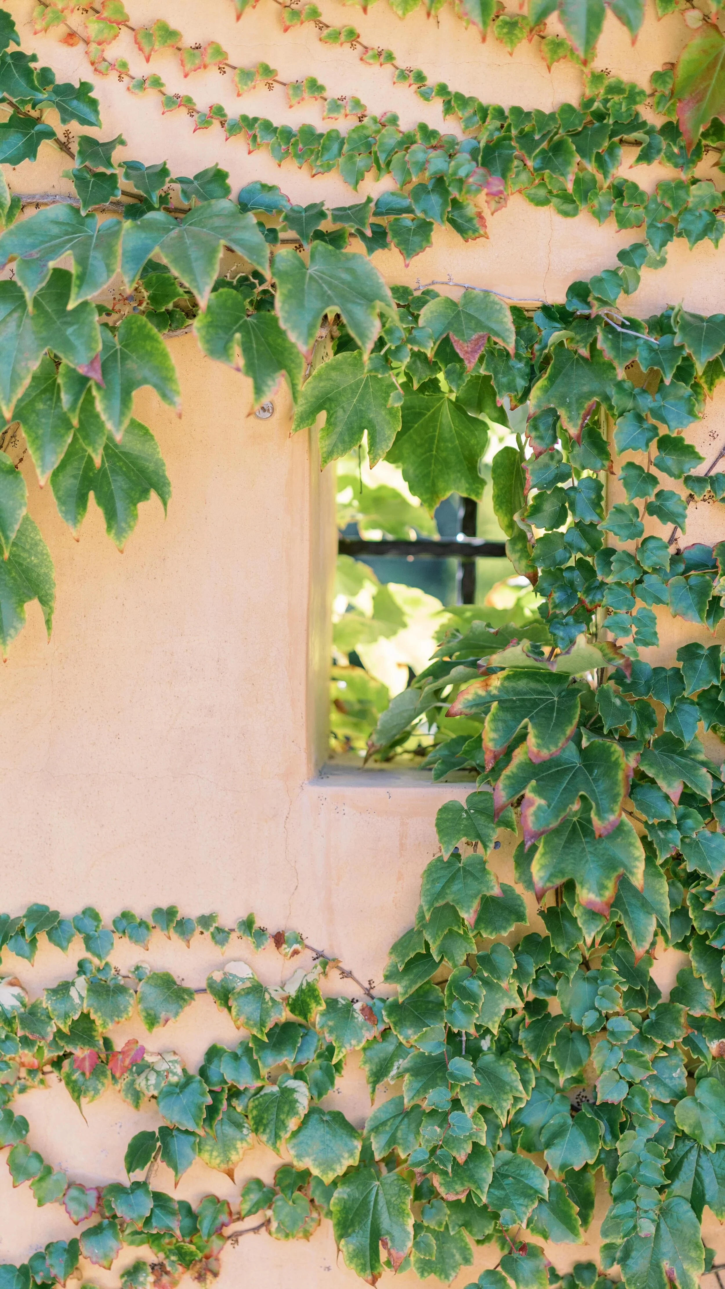 Kim Sing Theatre Los Angles Wedding — To Be Loved Events