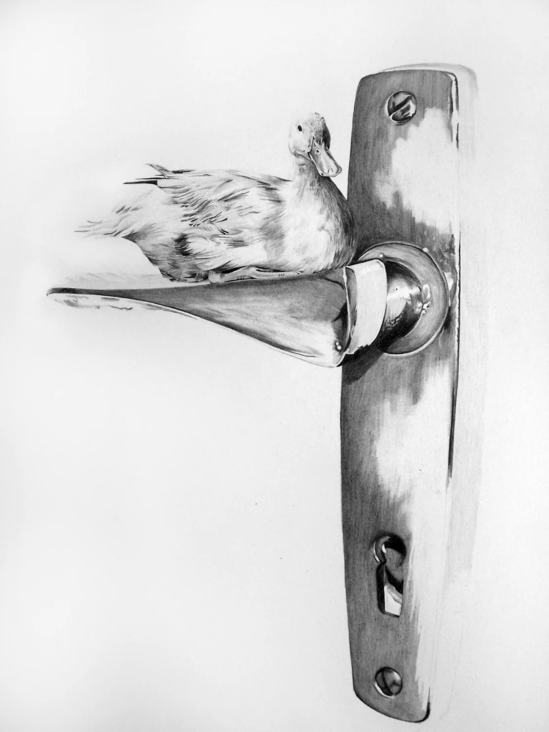 The Tales — Elizabeth Hammond