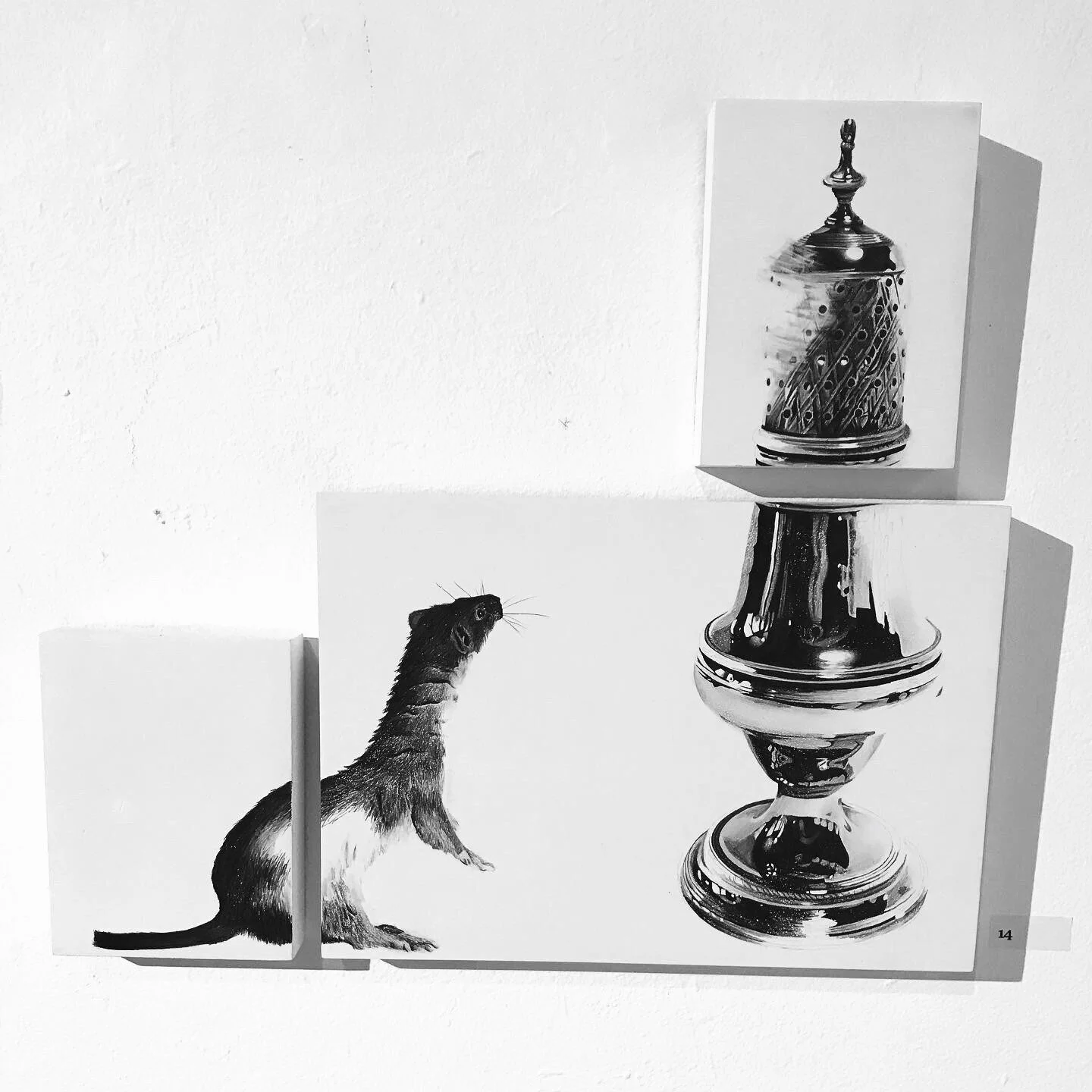 Shop — Elizabeth Hammond