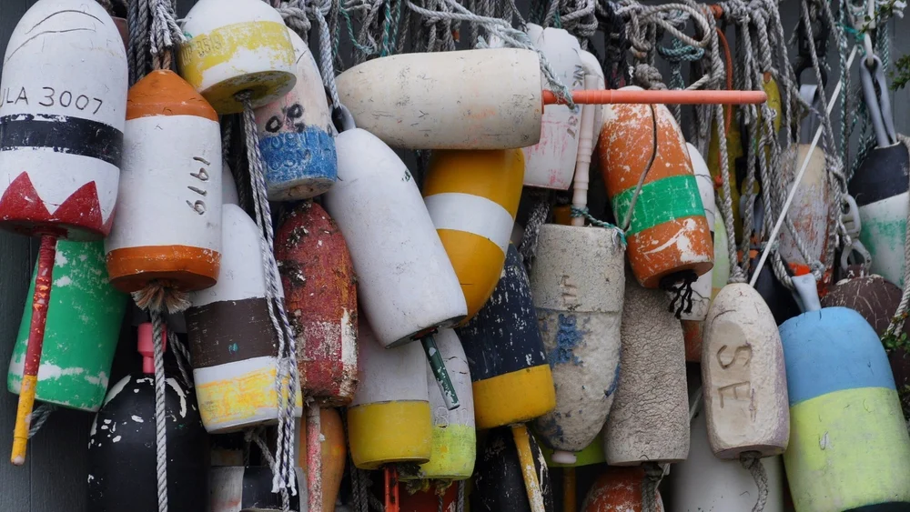 FAQ (Copy) — Tour Acadia