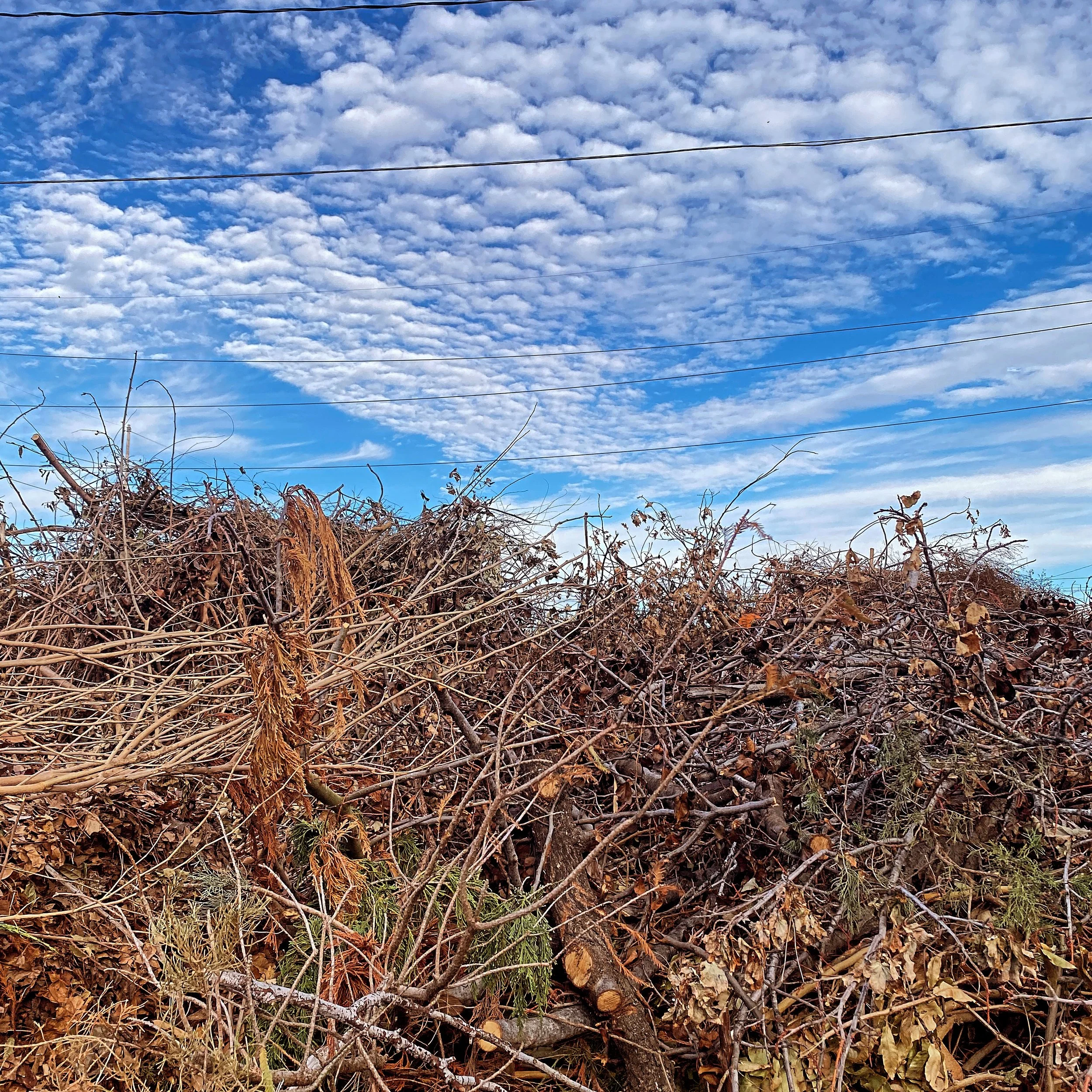 Residential Composting — Fertile Ground