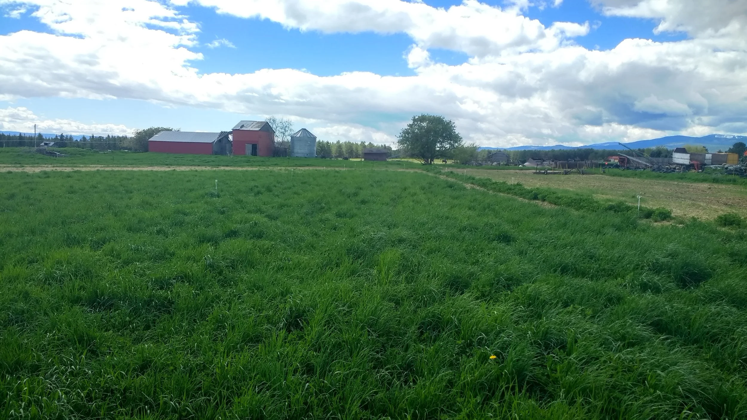 KD Farms - Inform — KD Farms