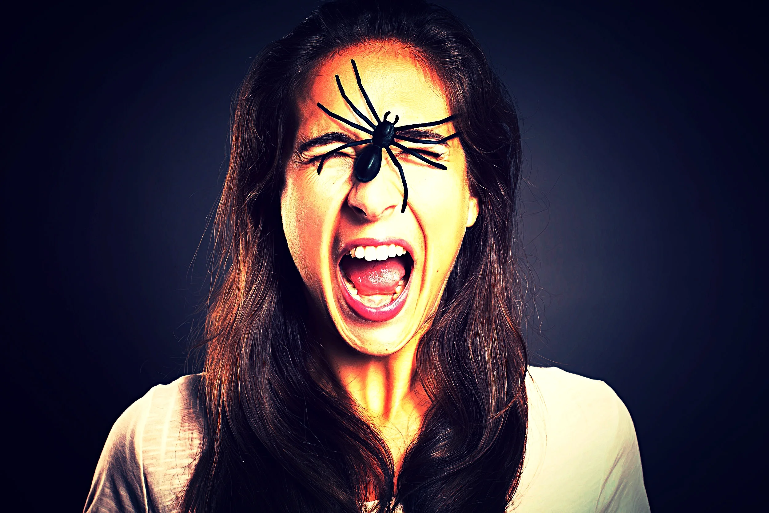 The Fear, The Psychology, And True Nature Of Insects — GLADHILL SERVICES