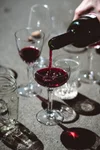 Our Wines — Radius
