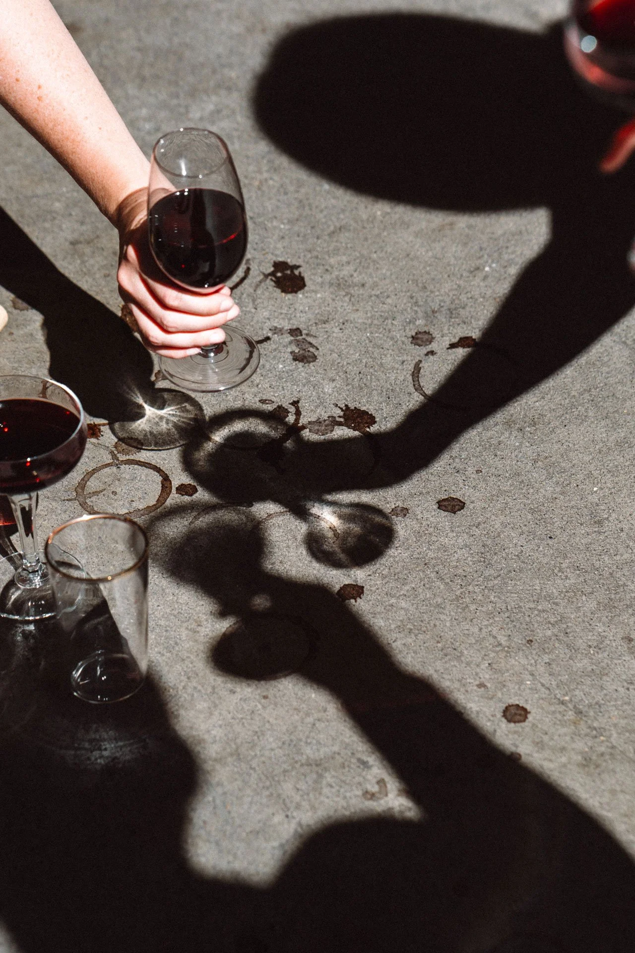 Our Wines — Radius