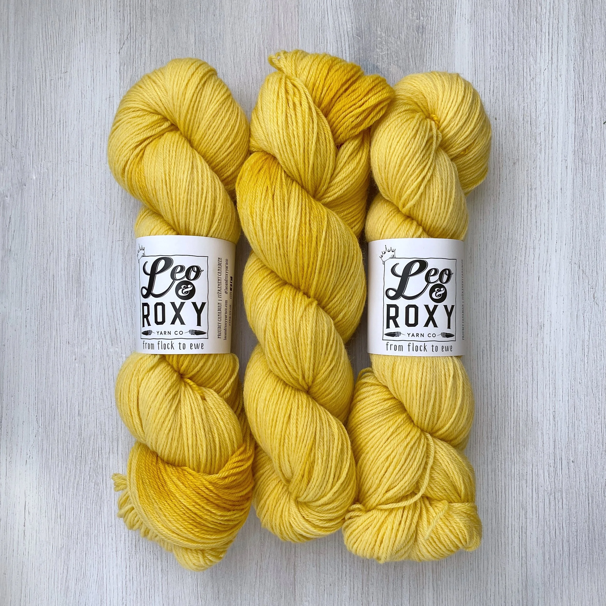 Leo and Roxy Yarn Co. : Indie-Dyed Yarn for the fibre enthusiast