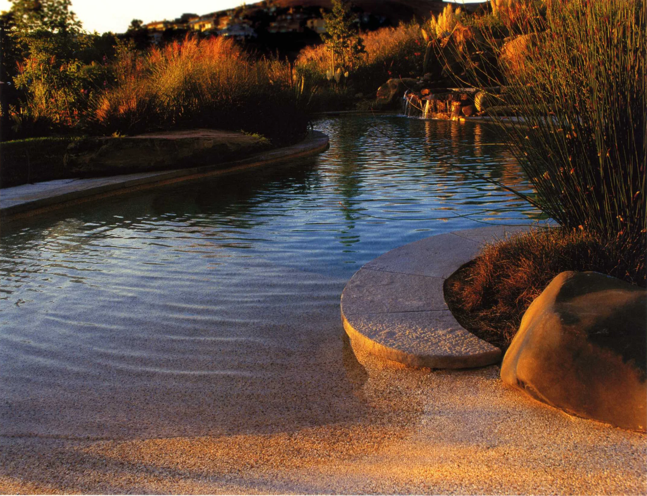 Beach Entry Pool — Bradanini & Associates