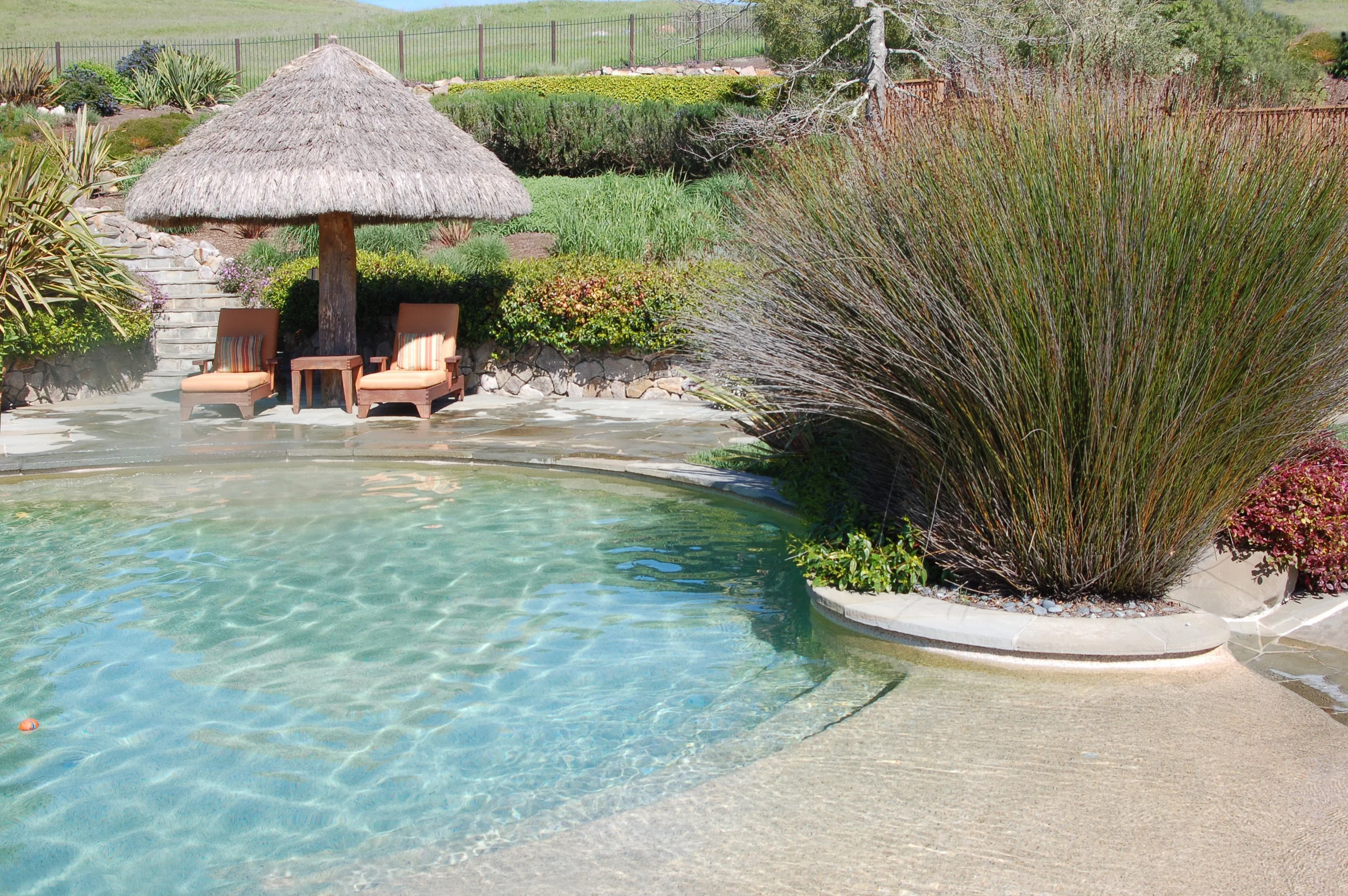 Beach Entry Pool — Bradanini & Associates