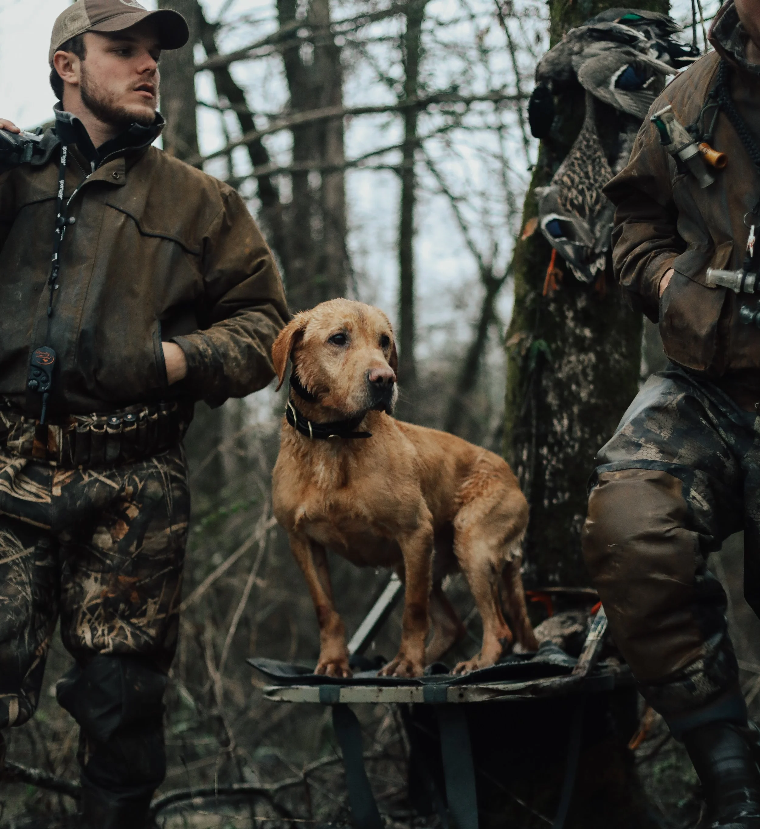 South Woods Duck Club — Double B Farms