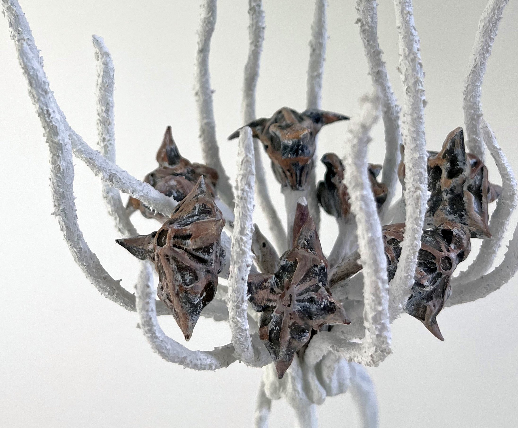 noémie jennifer bonnet