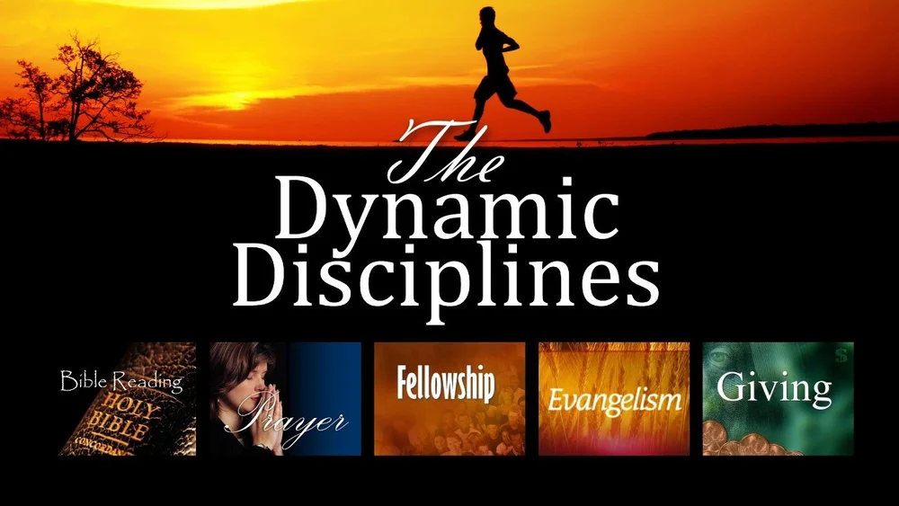 Dynamic Disciplines — Randy Boldt