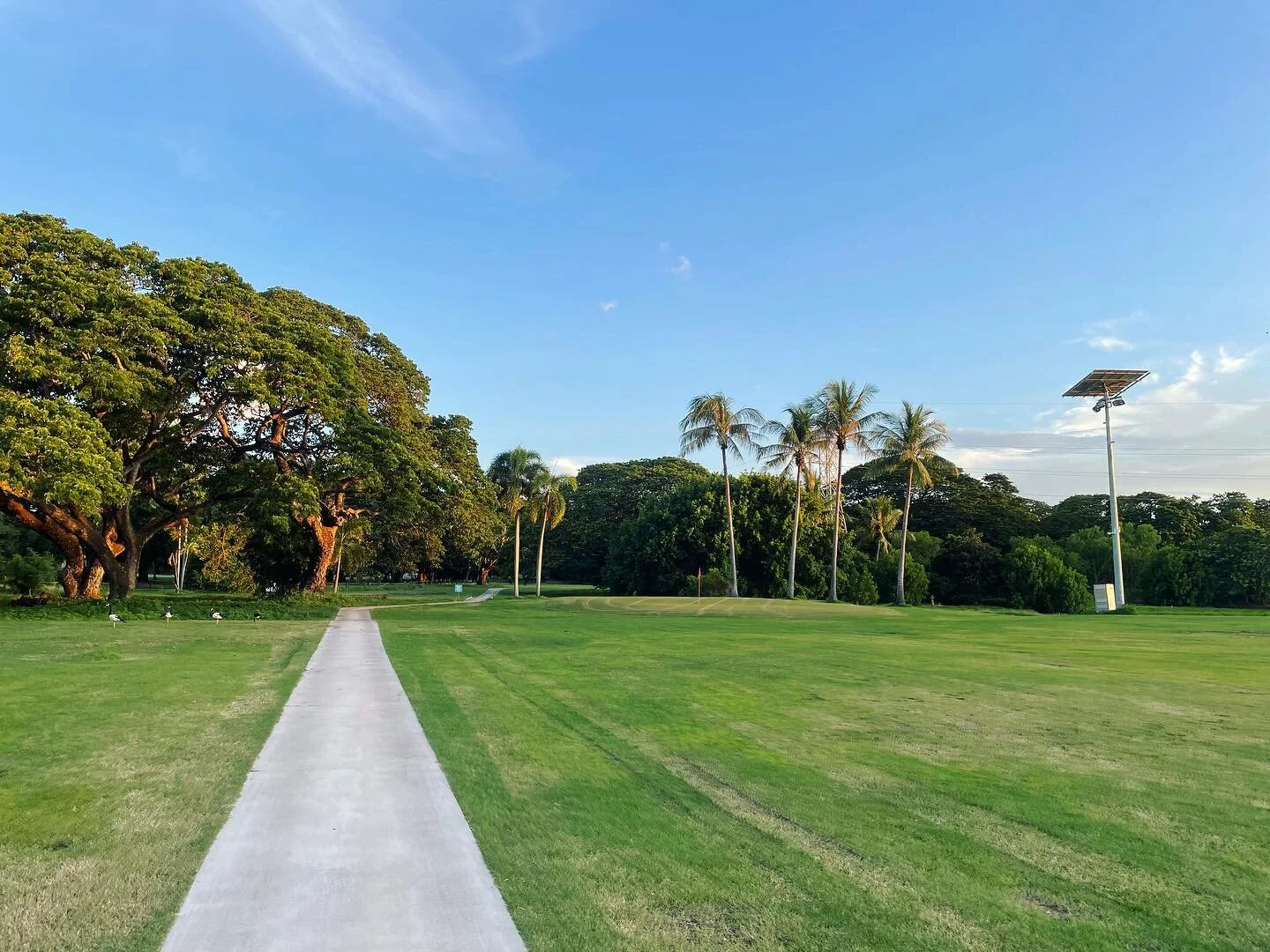 Darwin City Golf Course | Gardens Park Golf Links