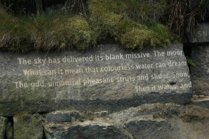 Pip Hall — The Lettering Arts Trust