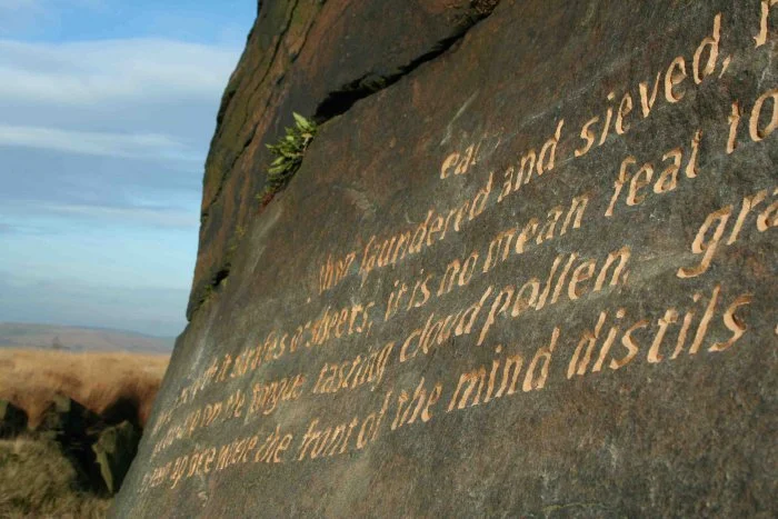 Pip Hall — The Lettering Arts Trust