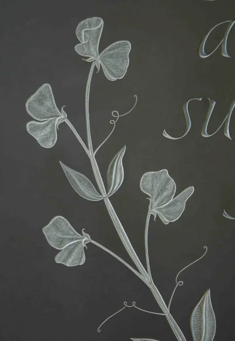 Pip Hall — The Lettering Arts Trust