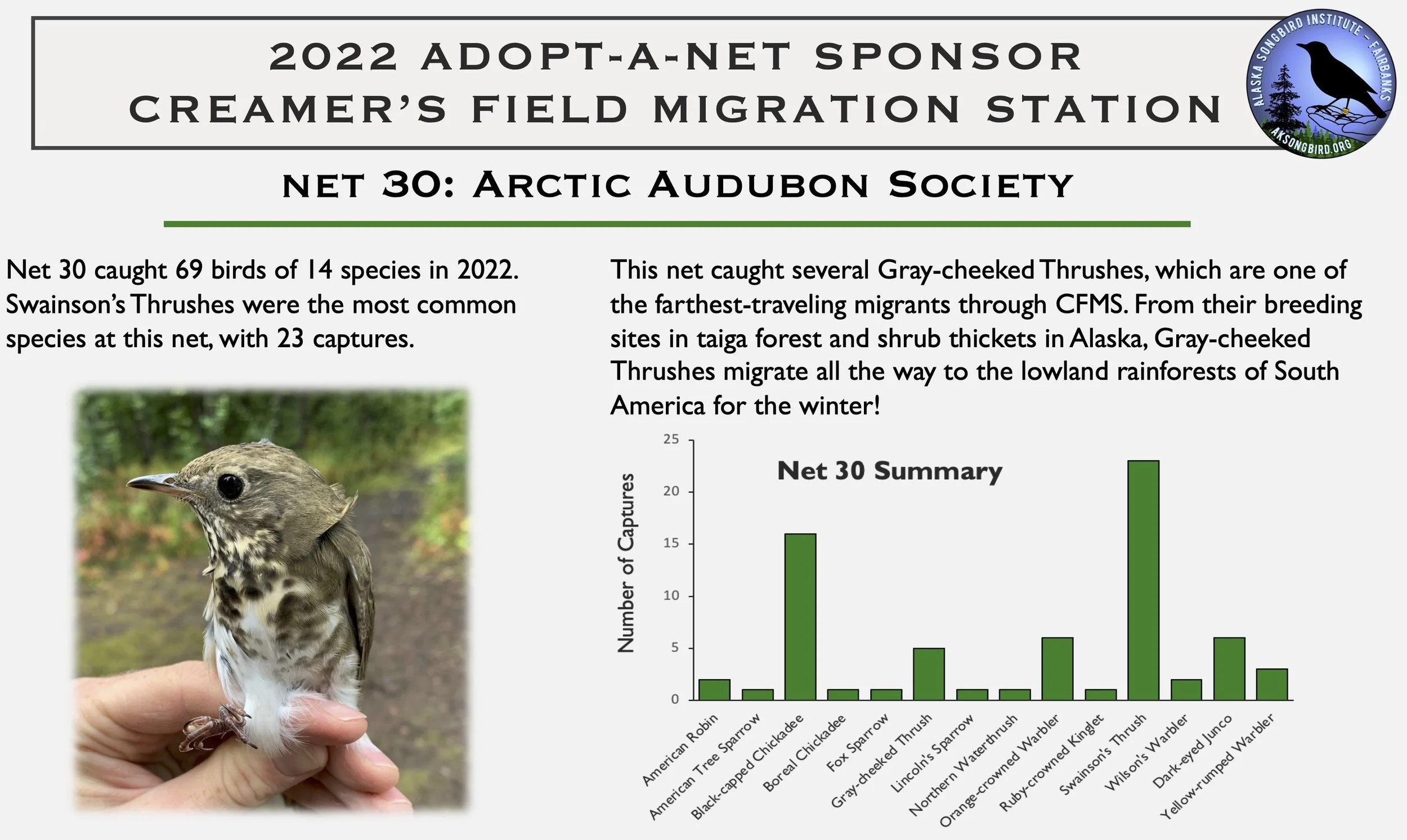 Adopt-A-Net Sponsor — Arctic Audubon Society
