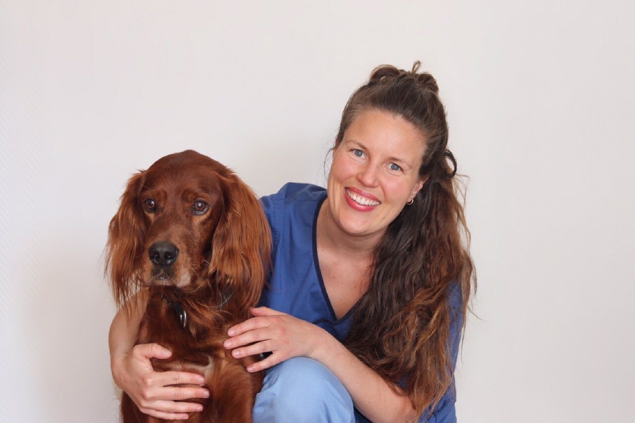 Veterinærer — Sarpsborg smådyrklinikk