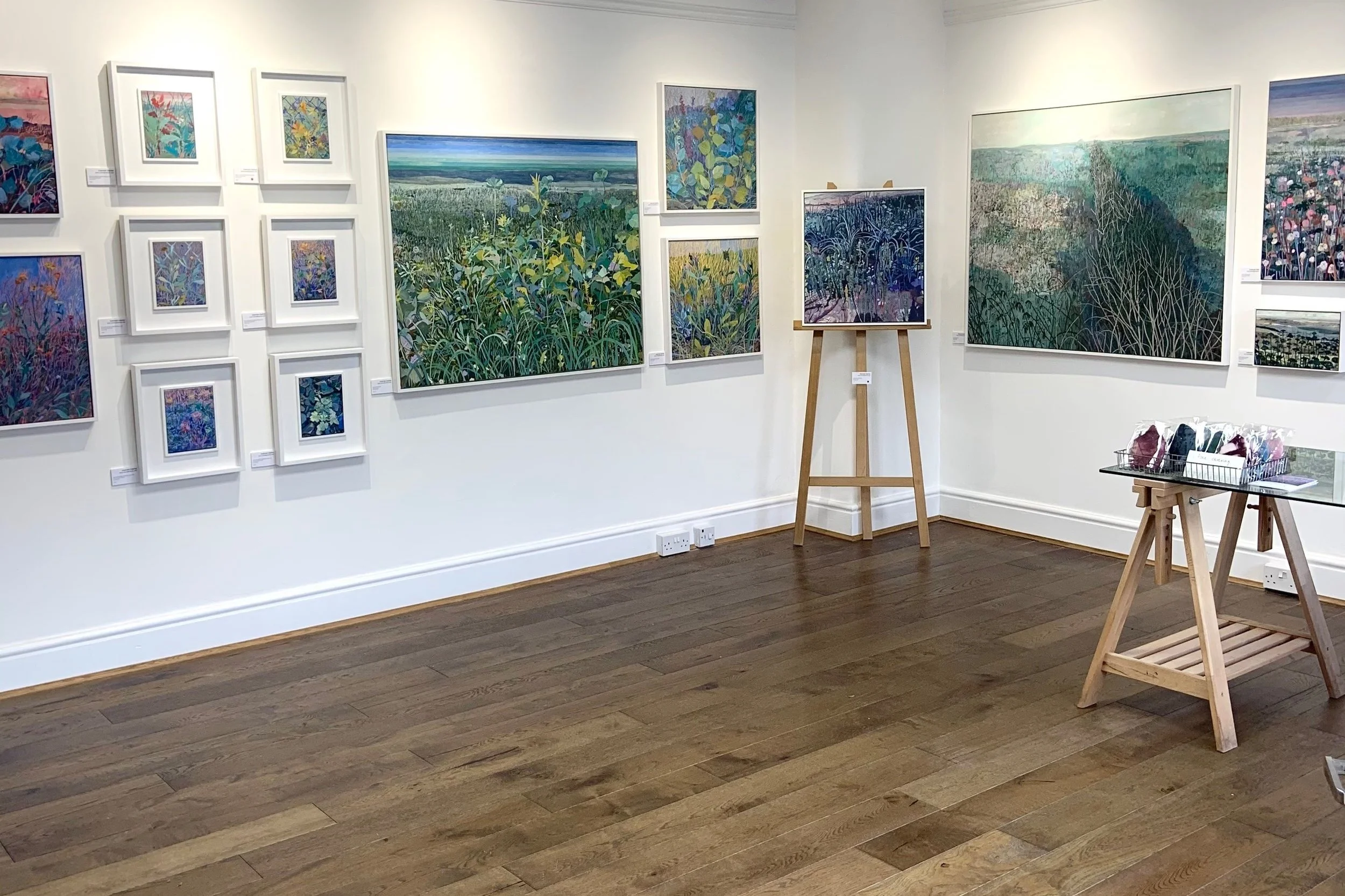 EXHIBITION VIEWS — CONRAD P CLARKE