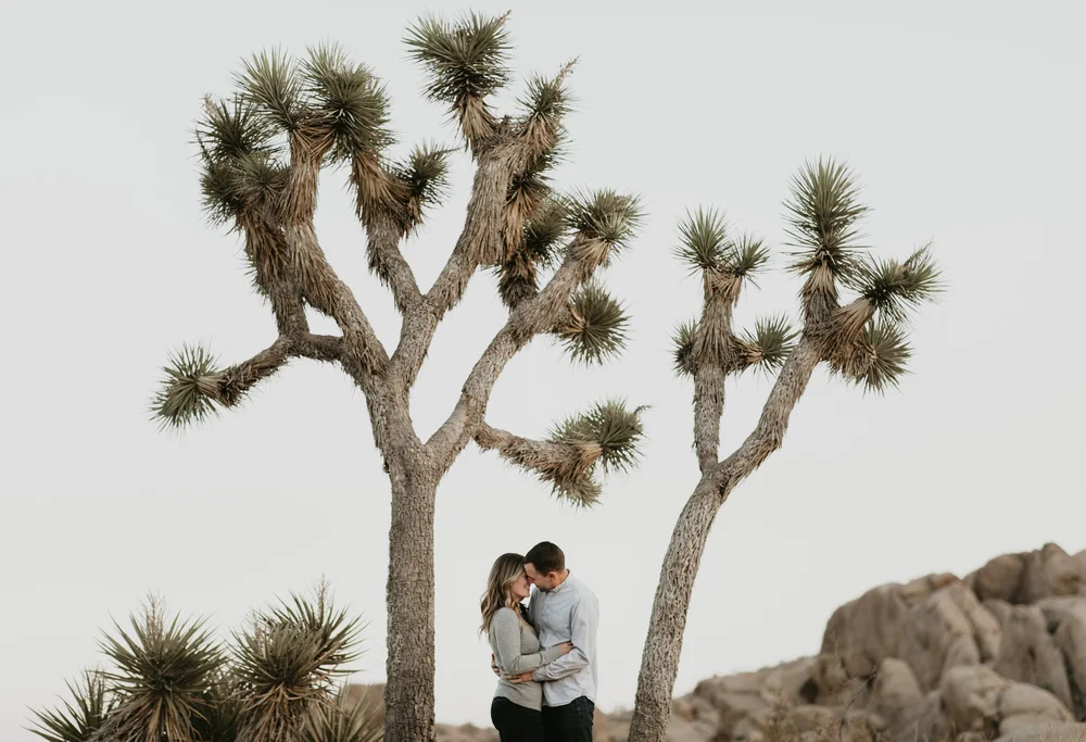 Adventure Session in Joshua Tree National Park — Nicole Daacke ...