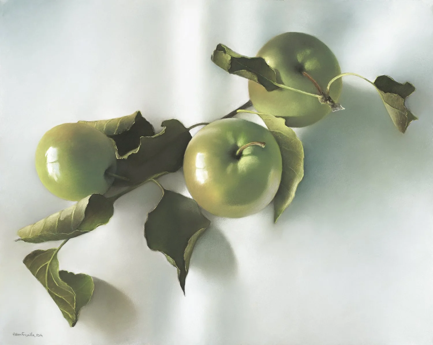 Robin Frisella — The Guild of Boston Artists