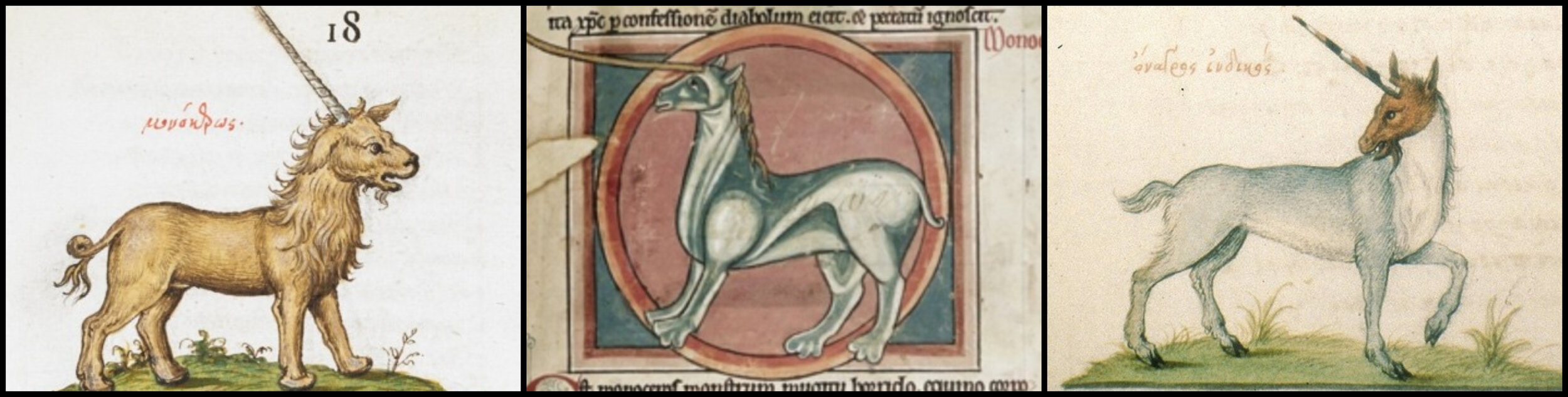 Fantasy and Medieval Iconography in The Last Unicorn — Fantasy/Animation