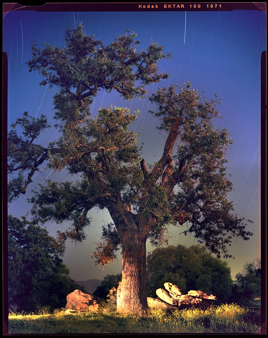 Shooting Star Trails on Film - A beginners guide to basic ...