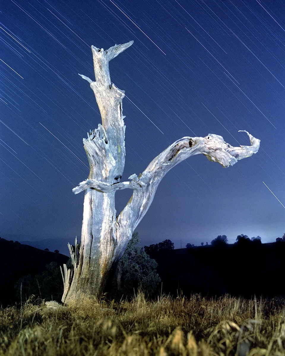 Shooting Star Trails on Film - A beginners guide to basic ...