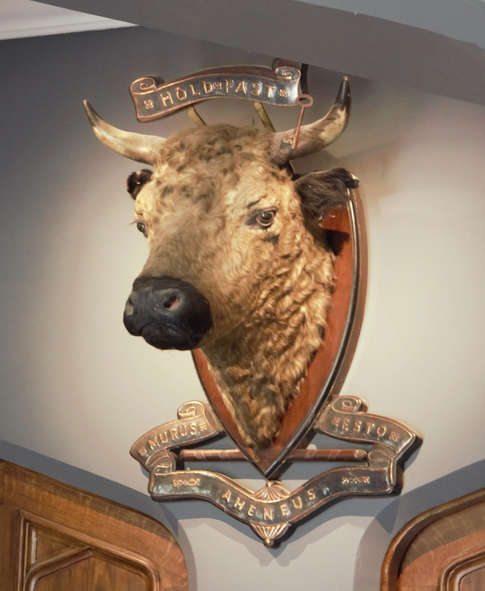 Gallery CLAN MACLEOD SOCIETY OF NEW ZEALAND gallery-clan-macleod-society-of-new-zealand