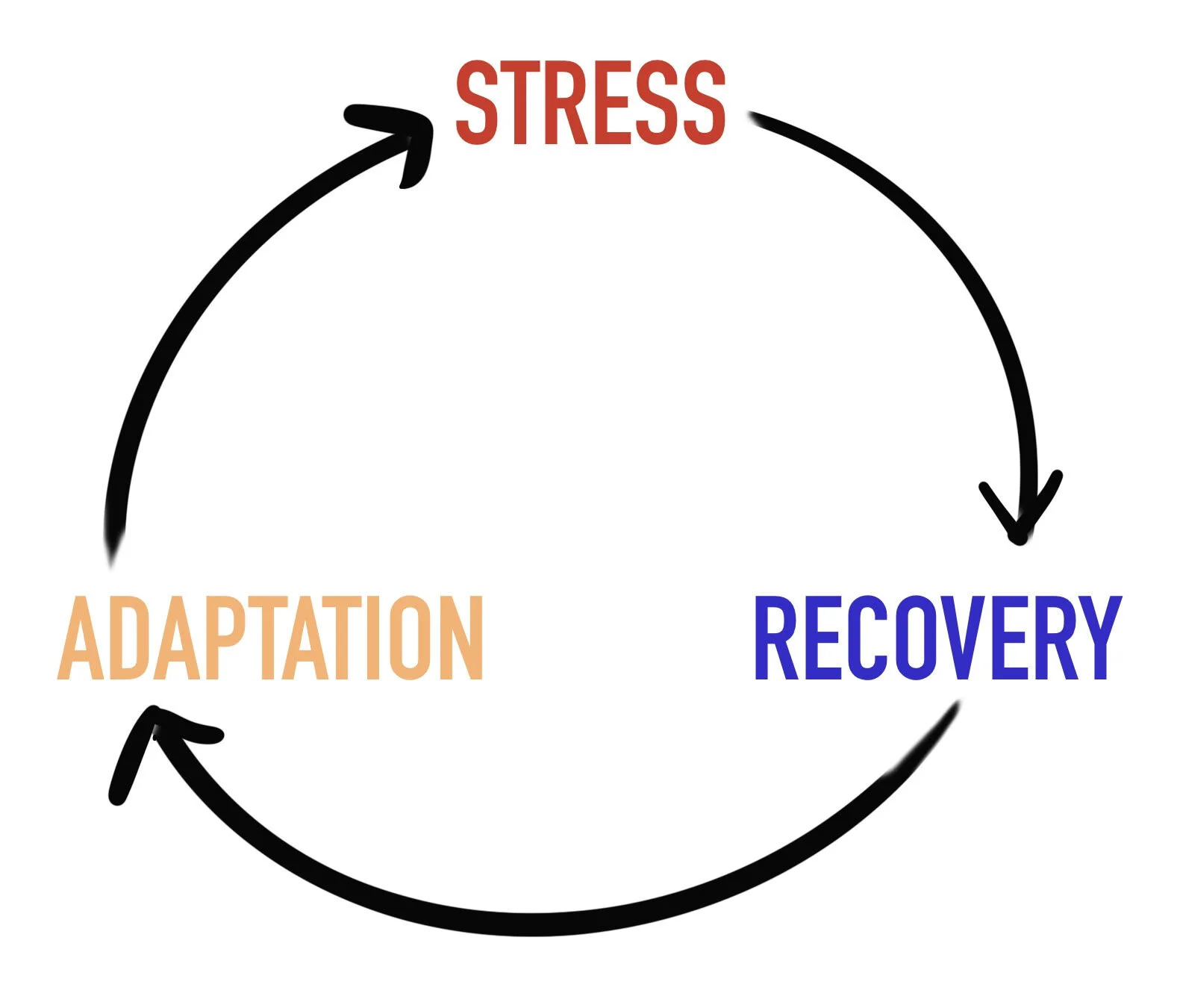 The Importance of Recovery for Athletes
