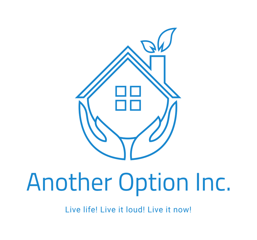 Another Option Inc.