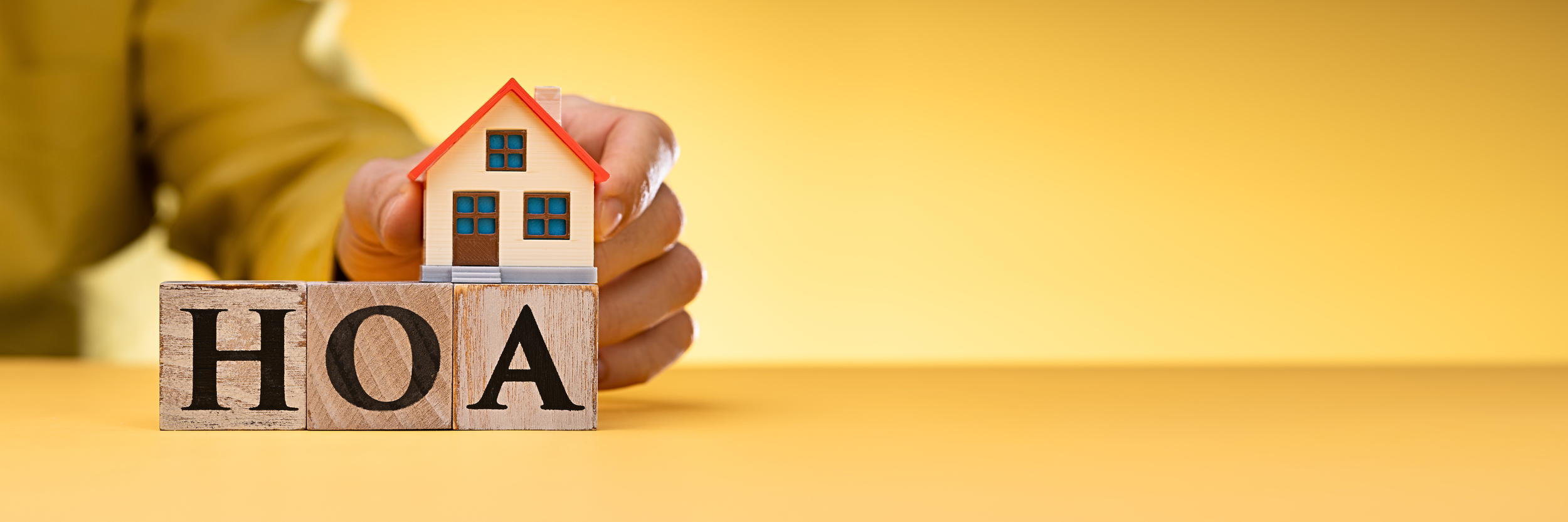 2025 HOA Election — Anatolia Homeowners Association