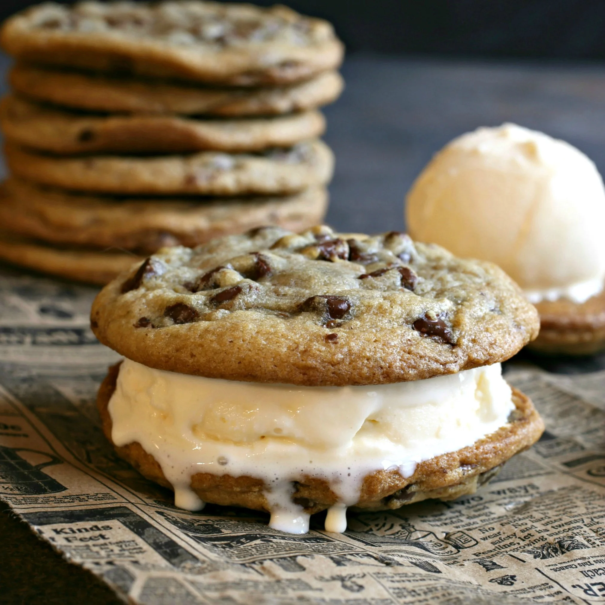 Food — Anita Schecter